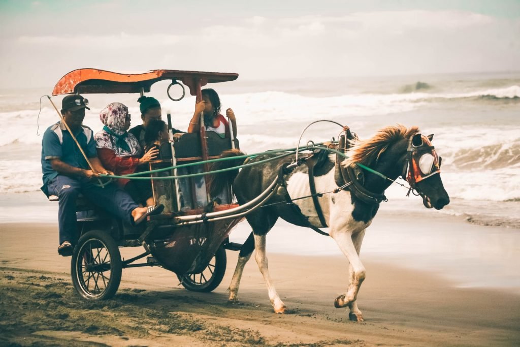 Mengenal 5 Kendaraan Tradisional Asli Indonesia